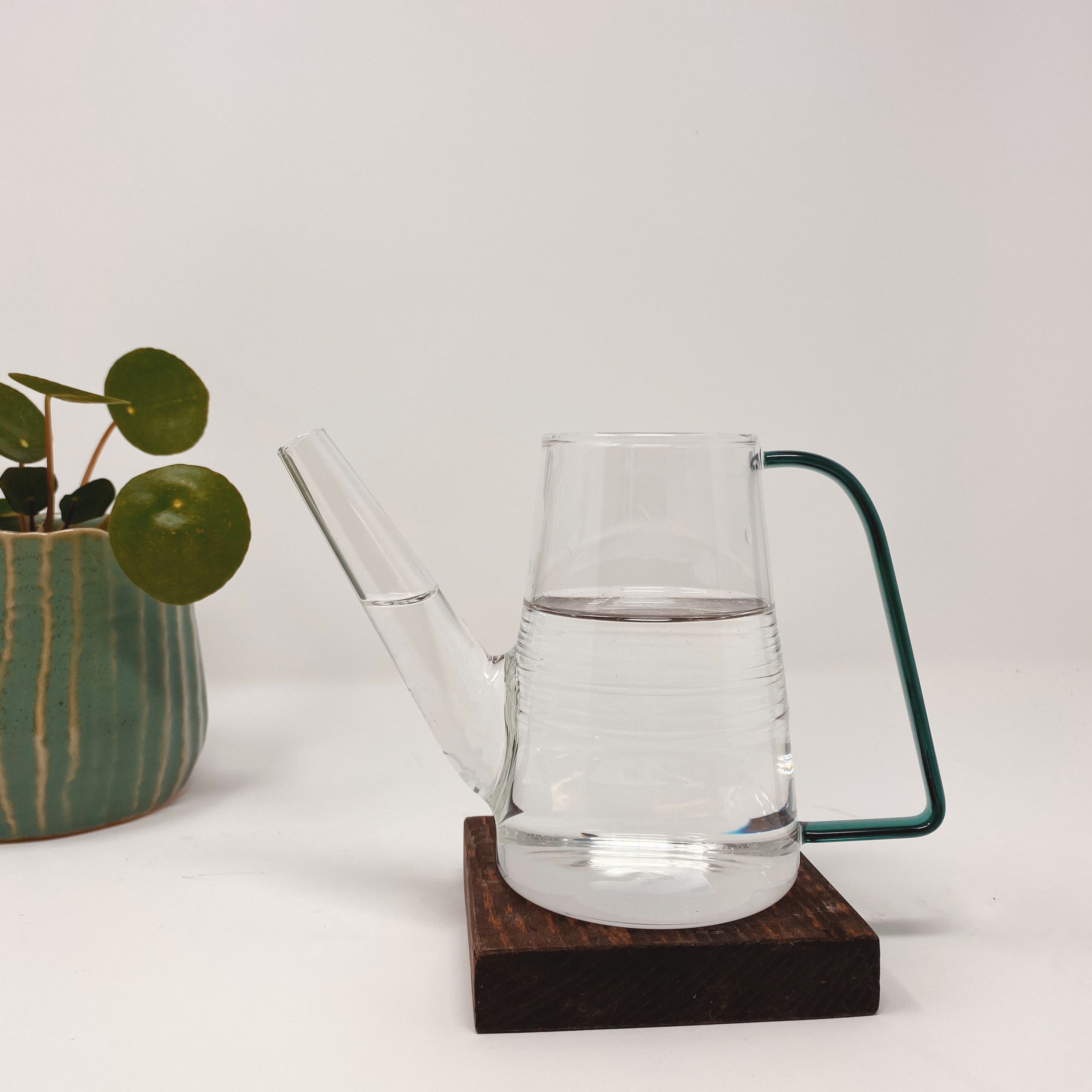 Glass Watering Can | Botanic and Luxe